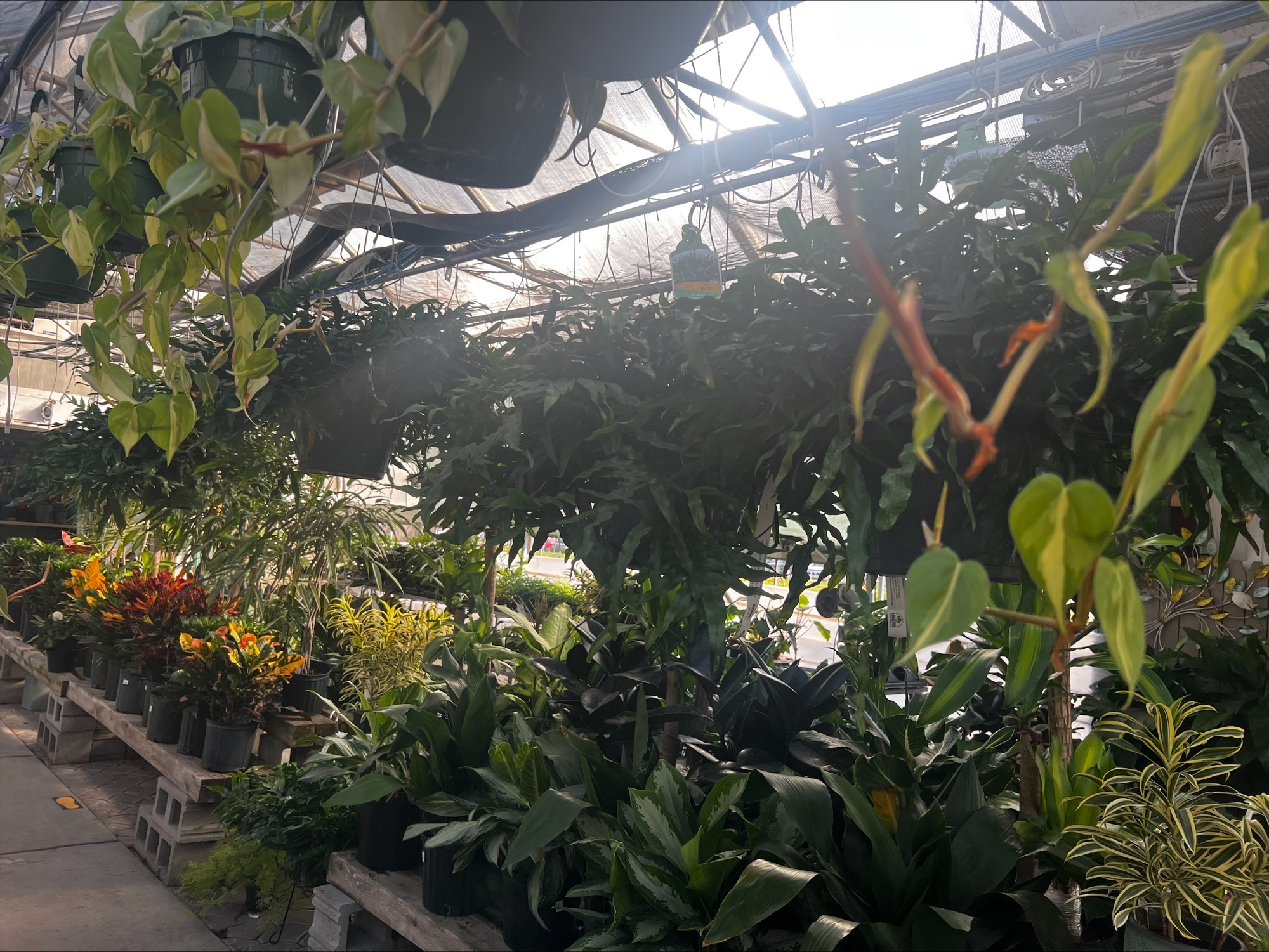 Minor's Garden Center – Gardening from the Ground Up
